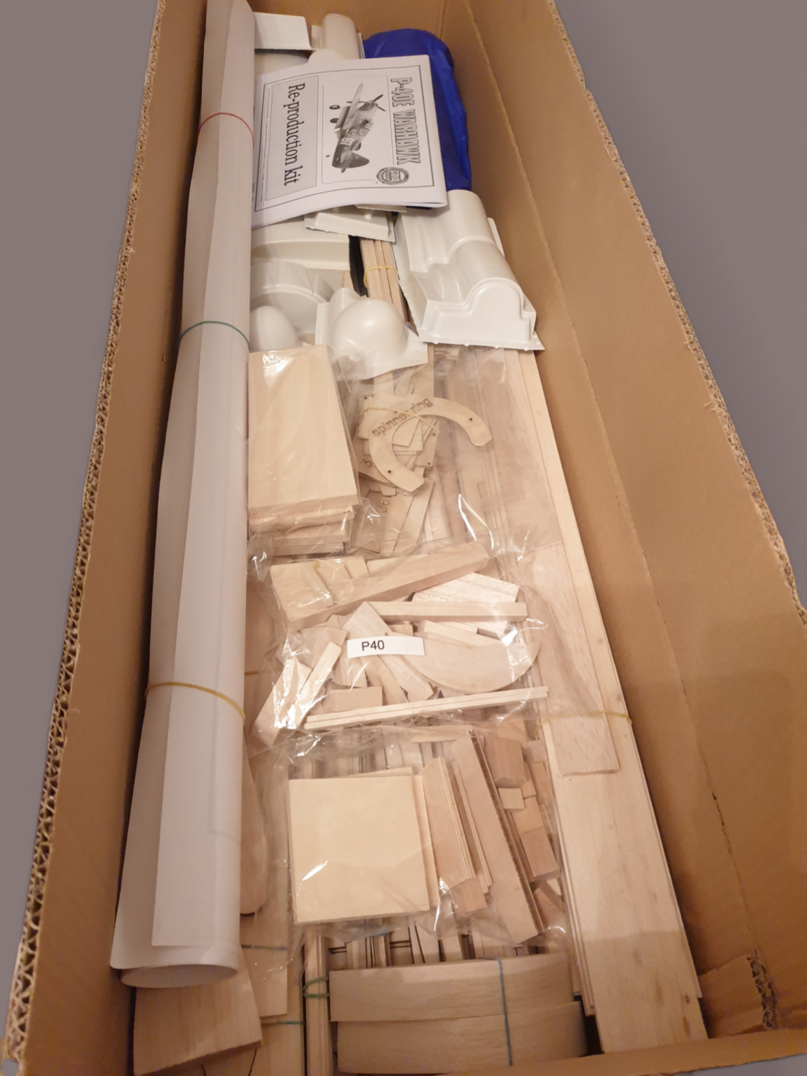 P40 Warhawk Reproduction kits – Full Kit – Planes Revived